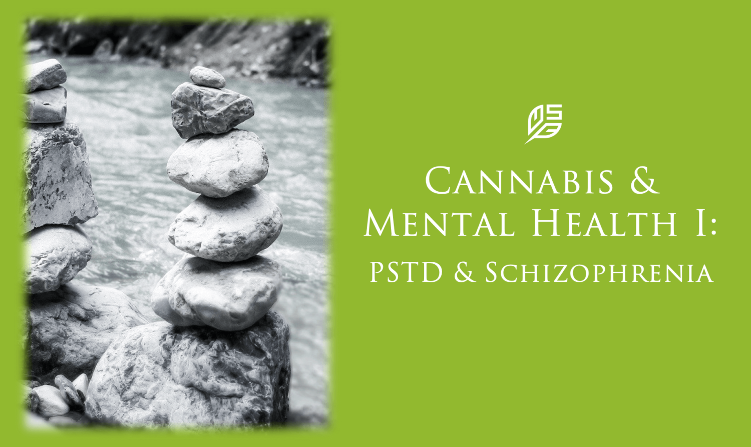 Cannabis & Mental Health: PTSD & Schizophrenia - Society of Cannabis ... Cannabis & Mental Health: PTSD & Schizophrenia - Society of Cannabis ...